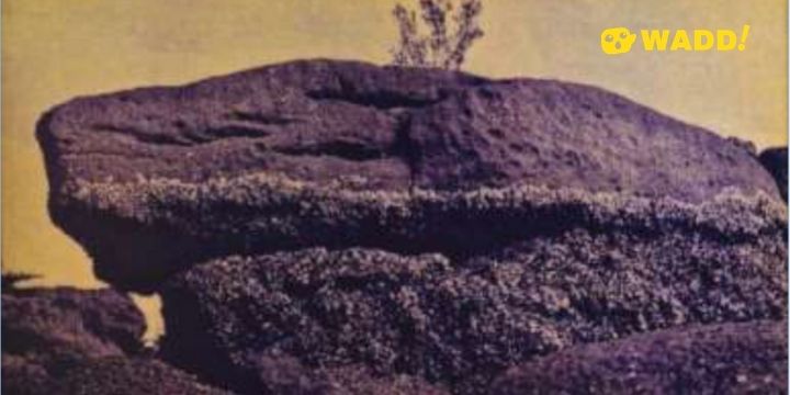 Wadd - Sarawak: The Mystery Of Crocodile Stone (Batu Buaya or Boyak)