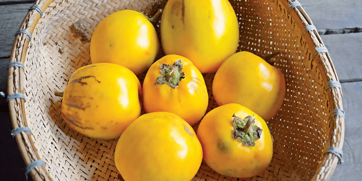 Wadd - Proudly Sarawak #MadeInSarawak