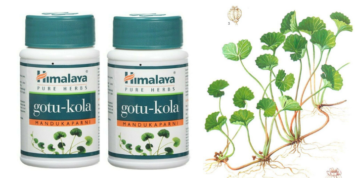 Wadd - The Impressive Nutrients Of Pegaga That Many Do Not Know