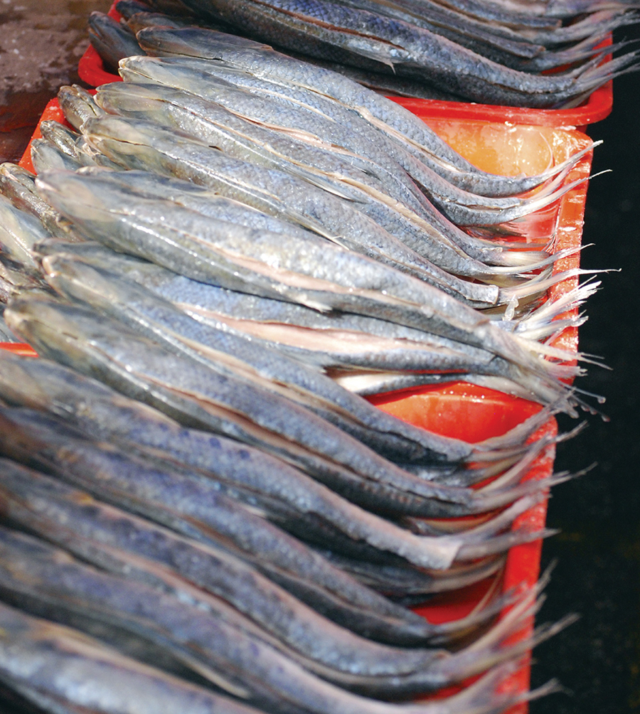 Wadd - Terubok - One Of Sarawak’s Many Take-Away Gifts