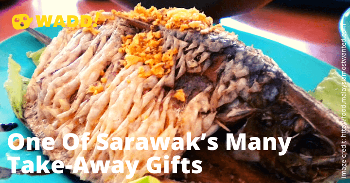Wadd - Terubok - One Of Sarawak’s Many Take-Away Gifts